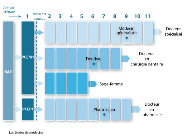 Les études médicales | EXPLORATHÈQUE